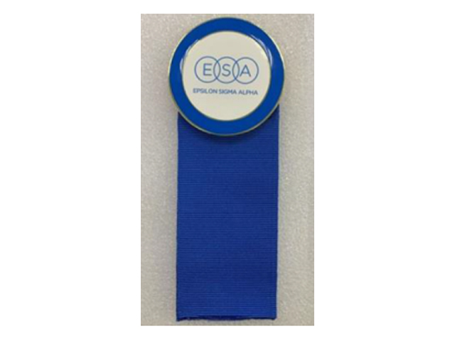 Epsilon Sigma Alpha Catalog - Award Concepts - Your Source for World Class Greek Jewelry and ...